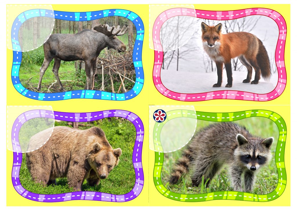 Animal Tracks Printable Activity for Kids. TeachersMag.com