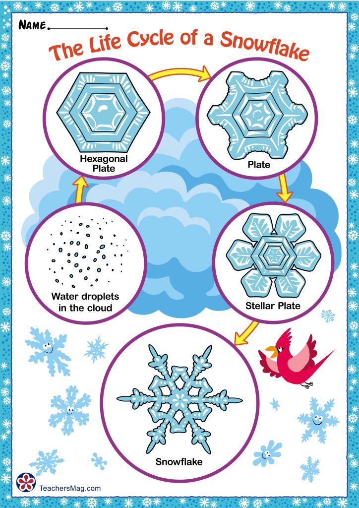 Snowflakes Theme Printables. TeachersMag.com