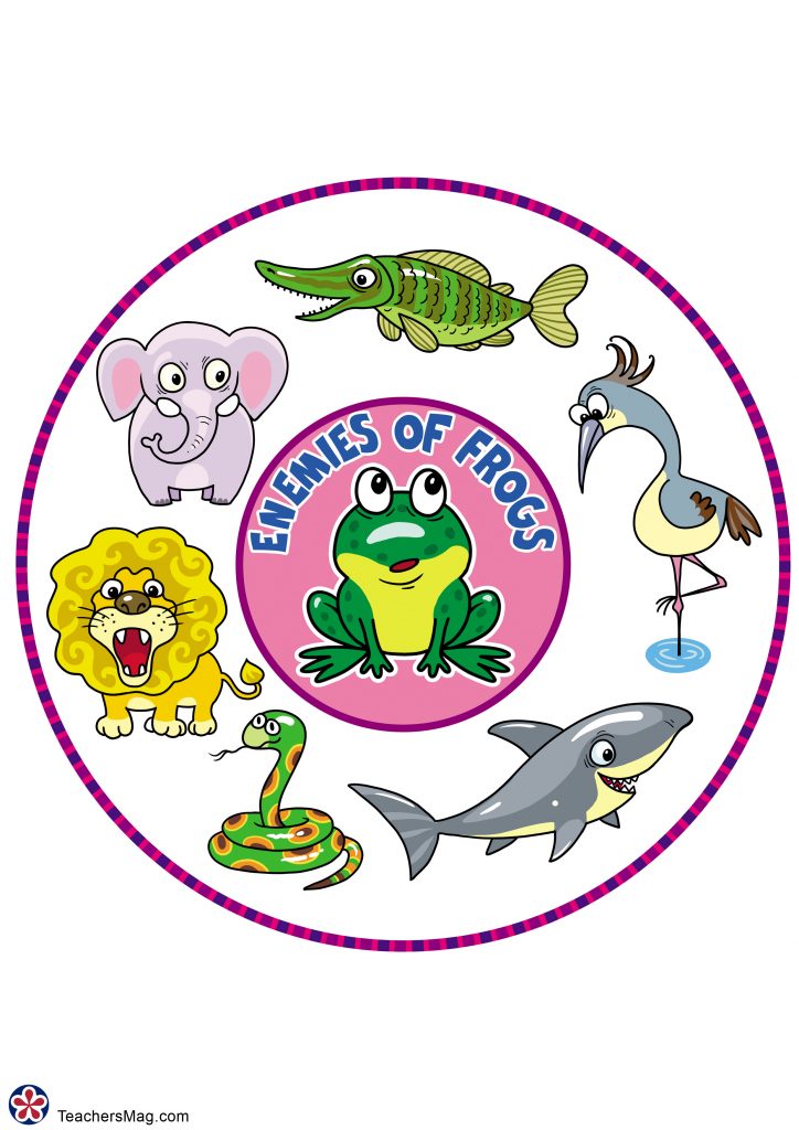 Frog Food and Frog Predator Worksheets For Young Students-2 ...