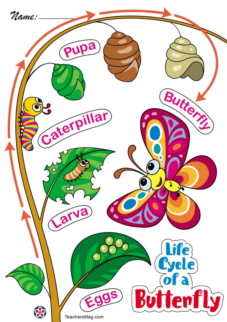 Butterfly and Spring Themed Worksheets for Kids-2. TeachersMag.com