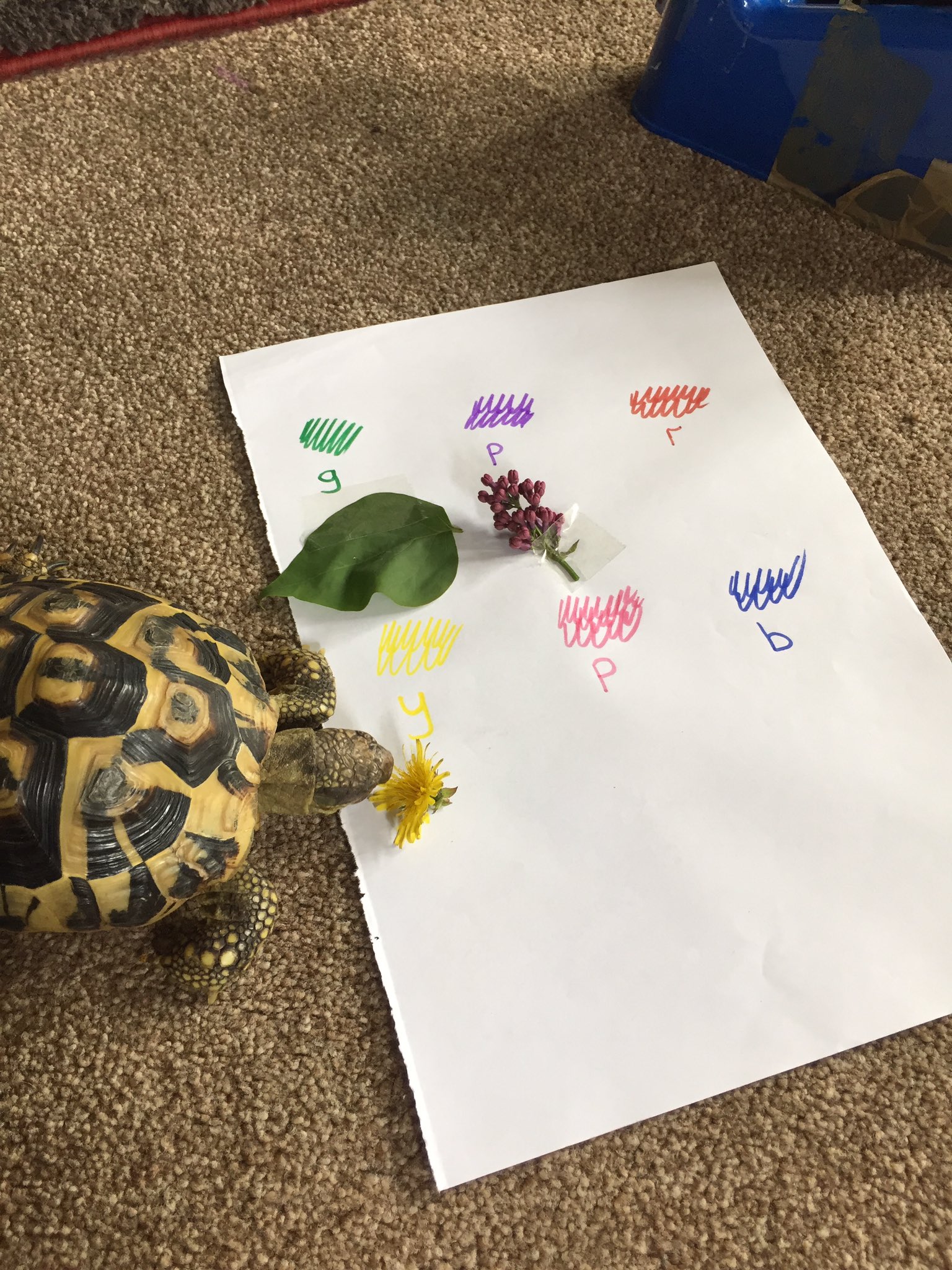 Color Search Activity For Preschool Students. TeachersMag.com