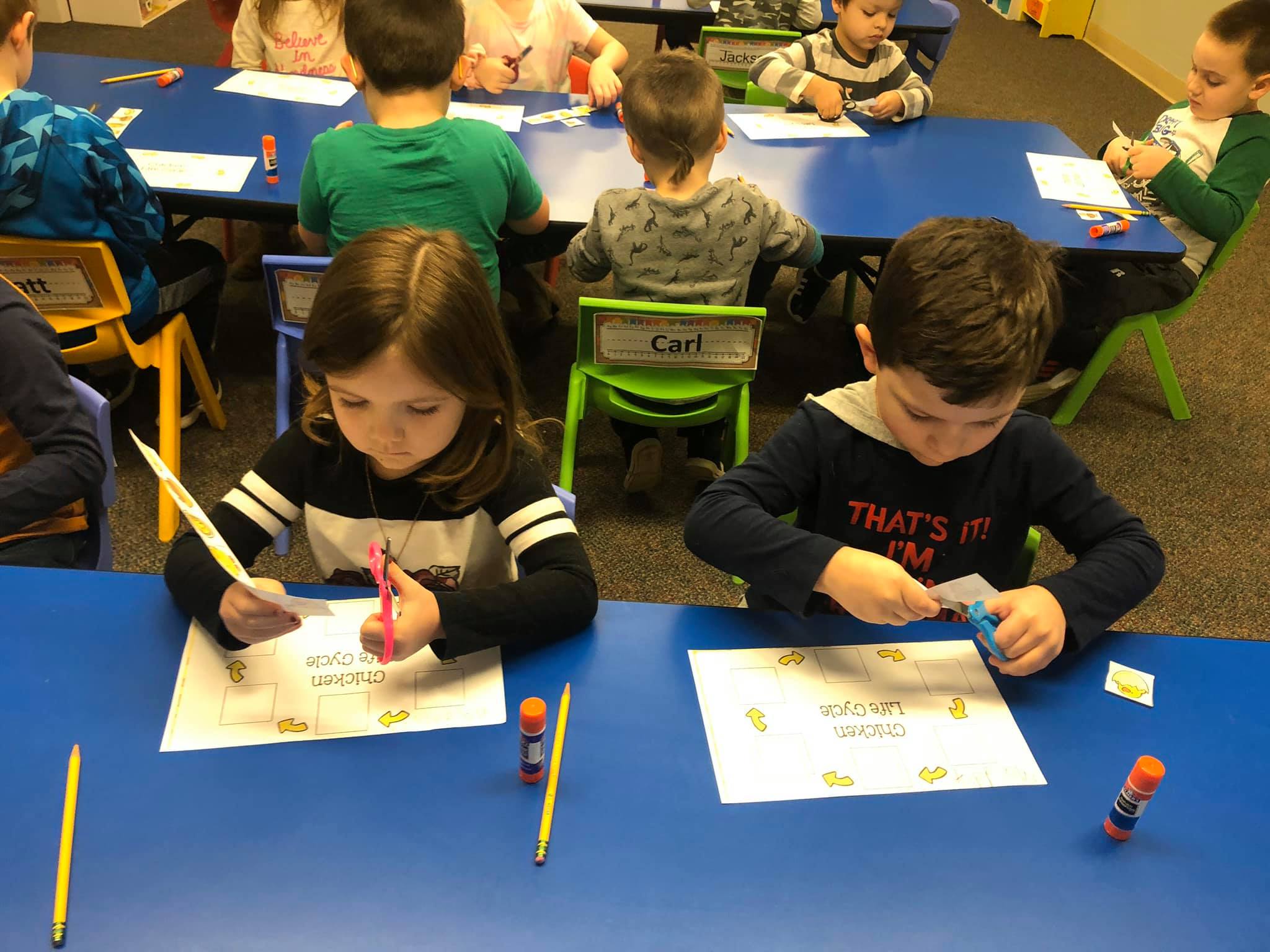 Activities About the Life Cycles of Chickens for Preschoolers ...