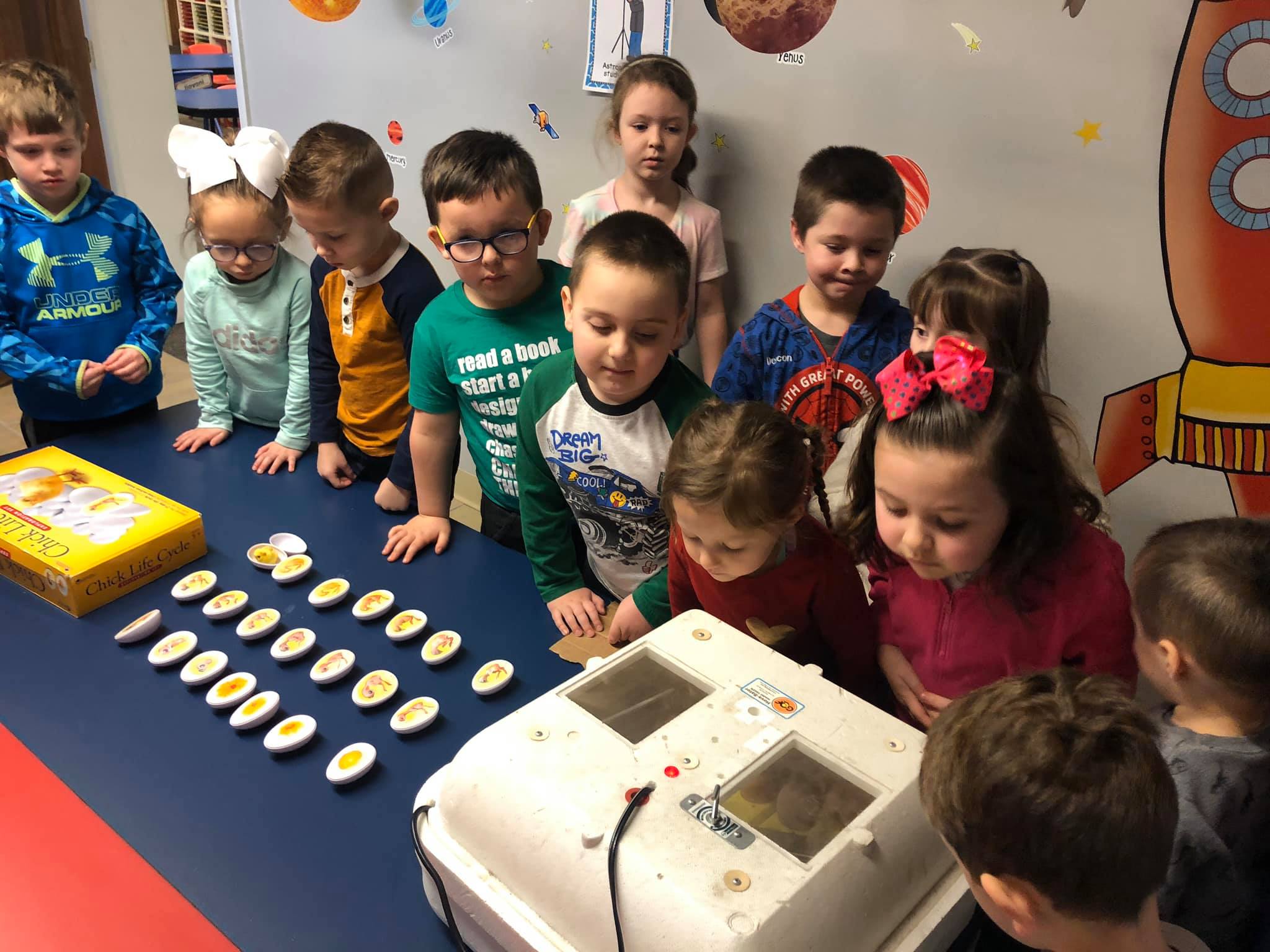 Activities About the Life Cycles of Chickens for Preschoolers ...